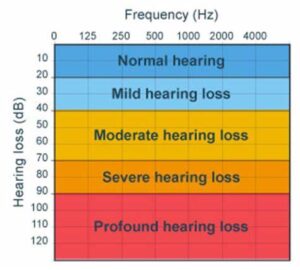 The ear - Leeds Teaching Hospitals NHS Trust