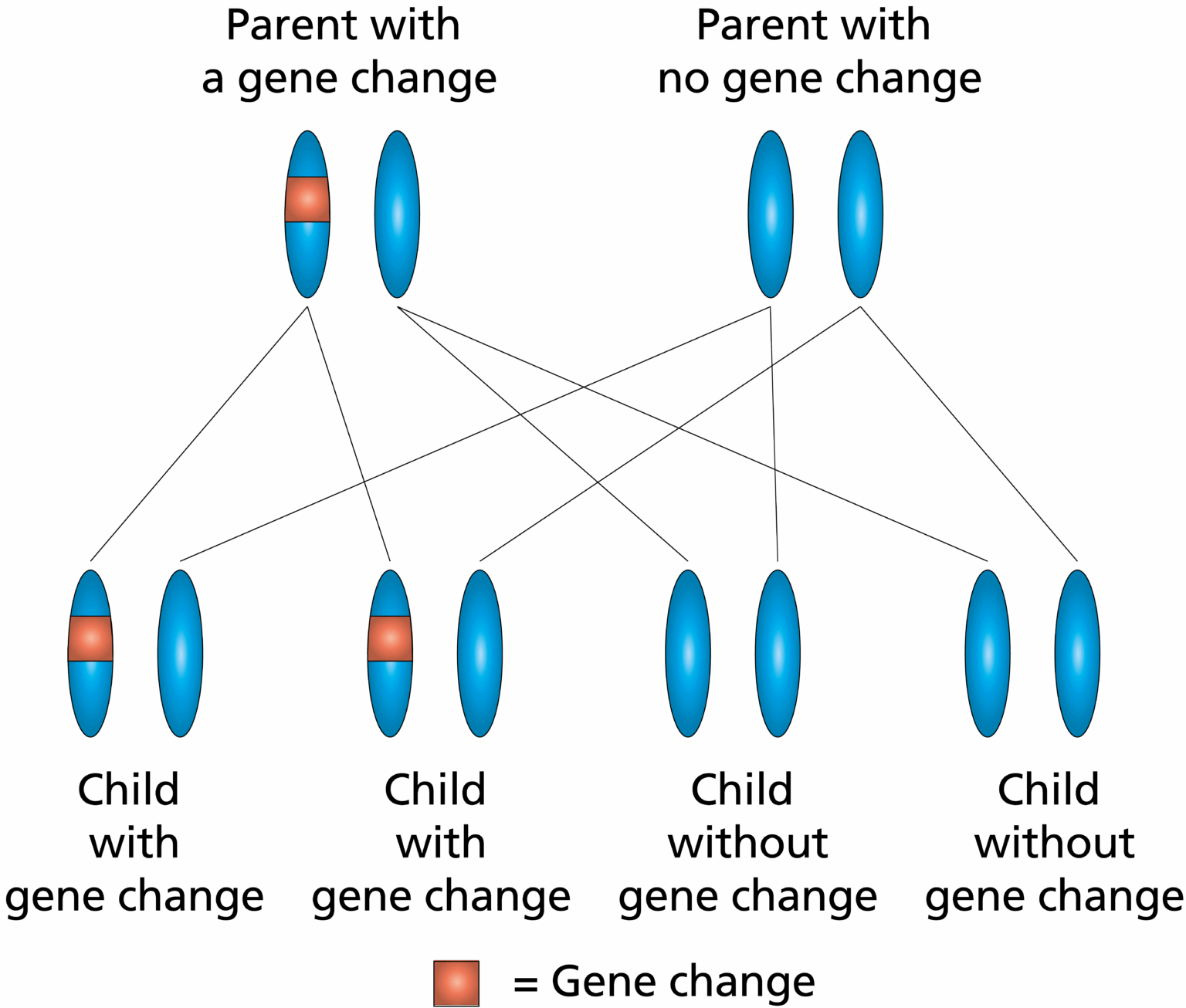 Predictive genetic testing for gene changes predisposing to breast and ...