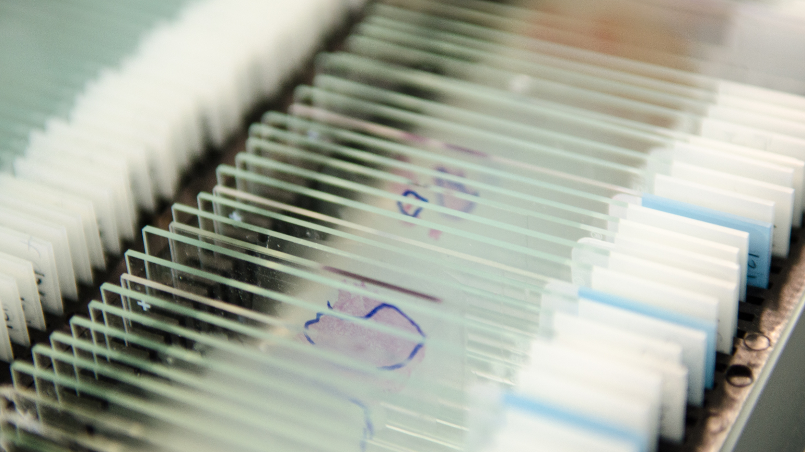 National Pathology Imaging Cooperative partners with CellPath Ltd to ...