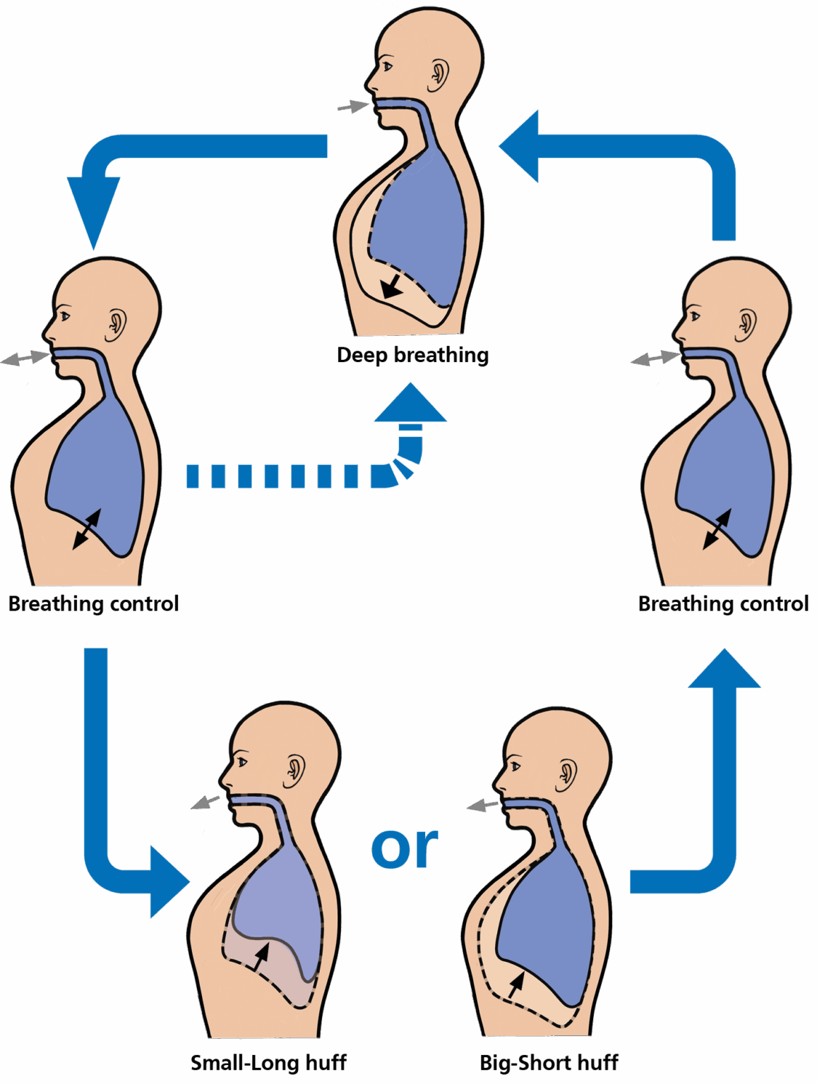 ACBT (Active Cycle of Breathing Techniques) - Leeds Teaching Hospitals ...