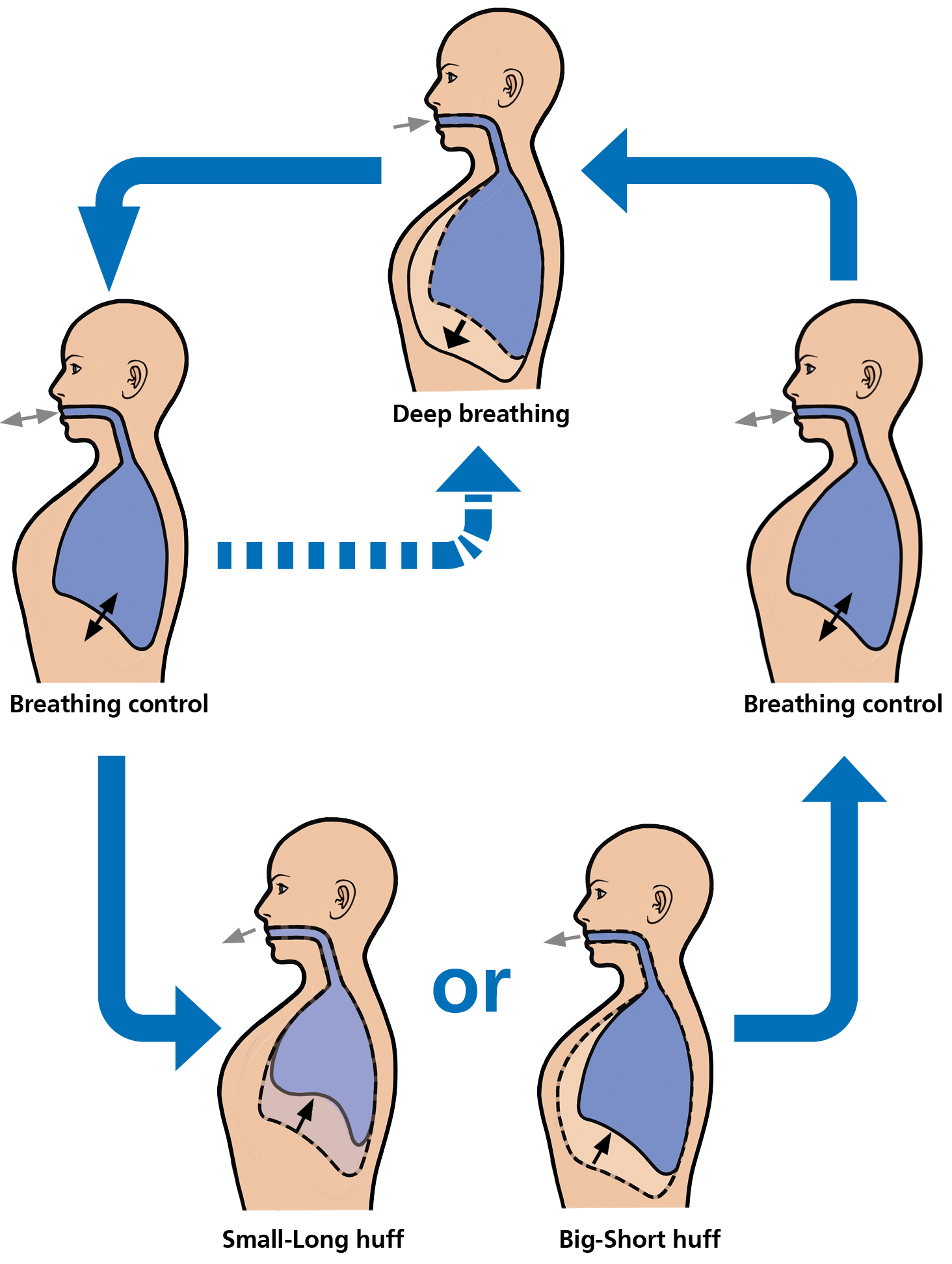 ACBT (Active Cycle of Breathing Techniques) - Leeds Teaching Hospitals ...